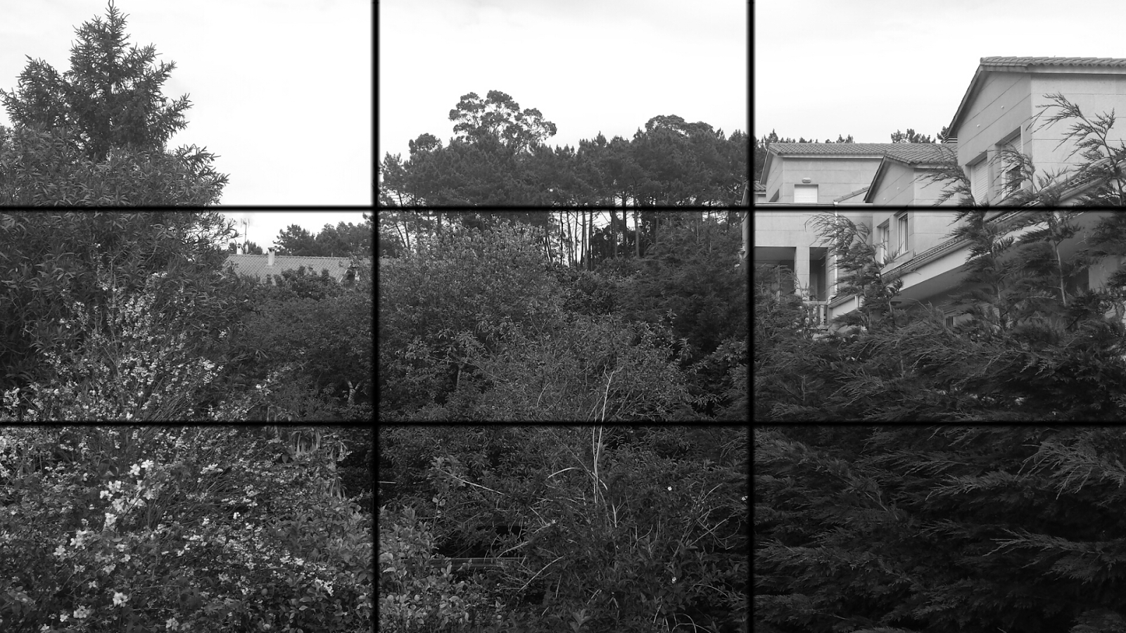 Daniel Pérez Silva: 10 tipos básicos de composición