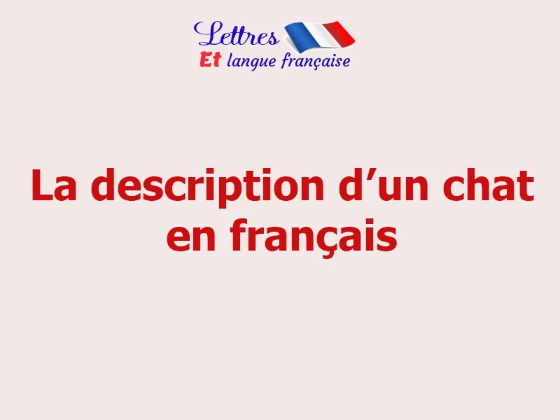 Description d'un chat en français