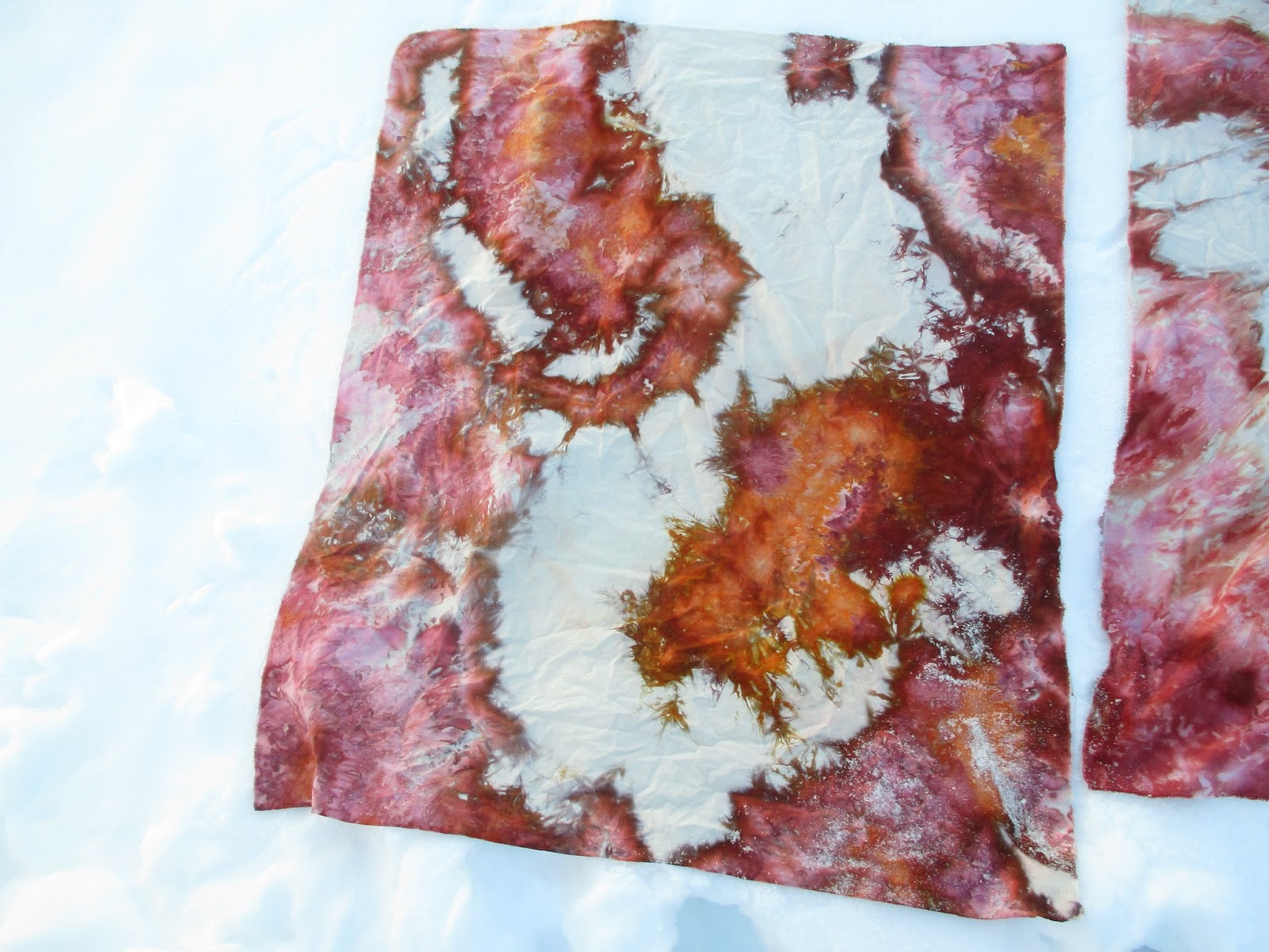 Bunchberry Studio: Snow Dyeing