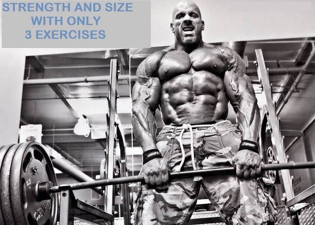 Muscle Palace: 3 Exercises for Strength and Muscle Mass