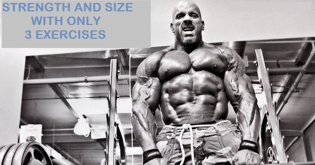 Muscle Palace: 3 Exercises for Strength and Muscle Mass