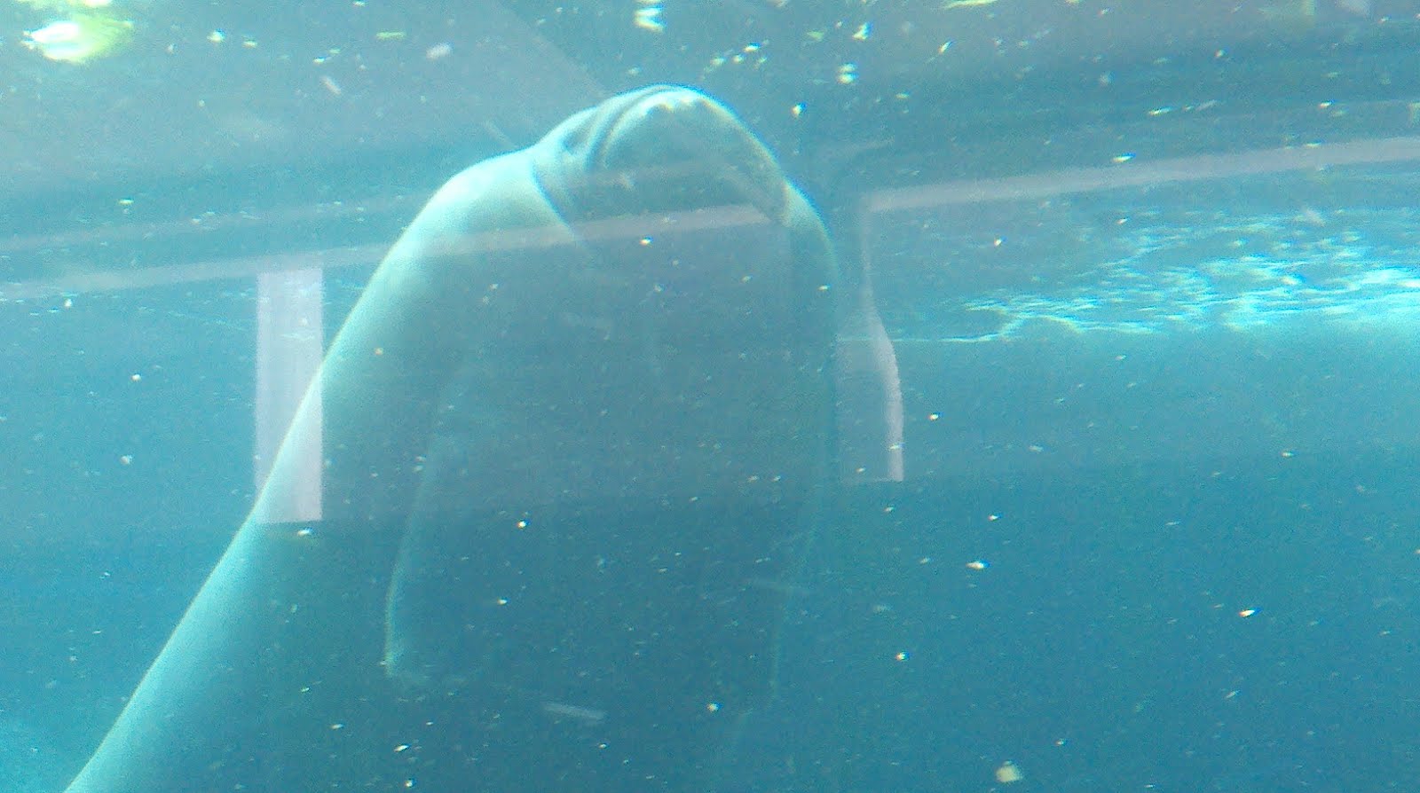 The Shekel - Coins, Law, and Commentary: Florida Trip - Oh, The Hugh ...