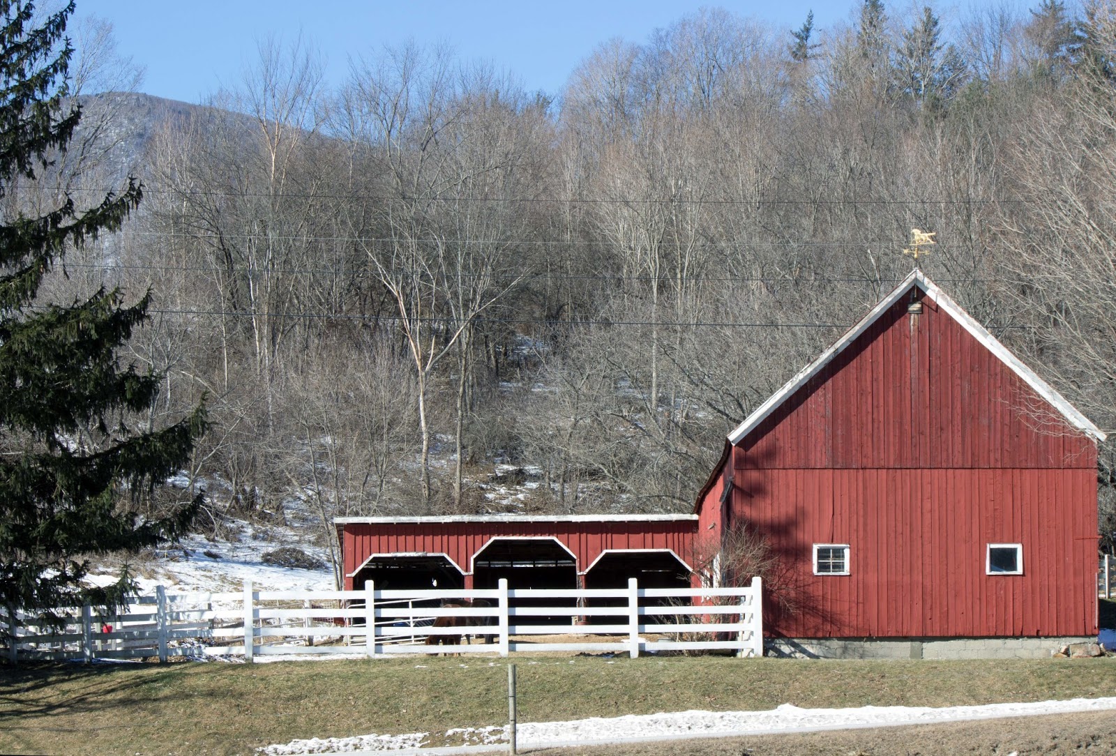 Joining Tricia at Bluff Area Daily for Barn Charm