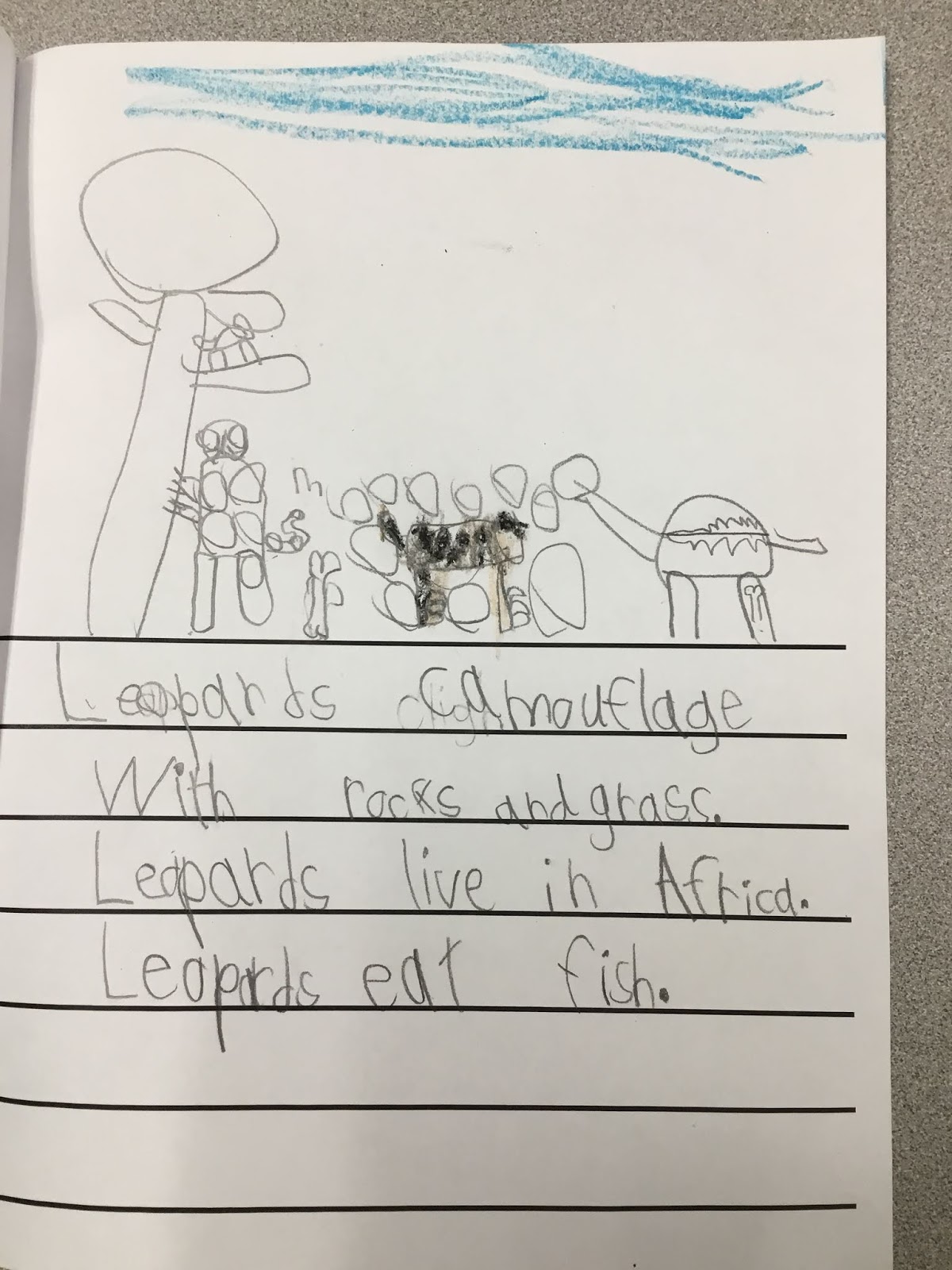 Nonfiction Writing First Grade Style | First Grade Shenanigans