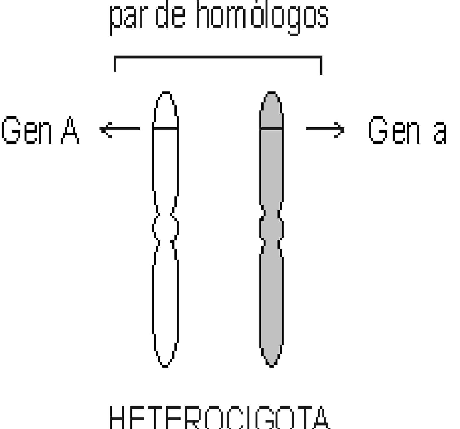 BIOLOGÍA GENERAL: mayo 2012