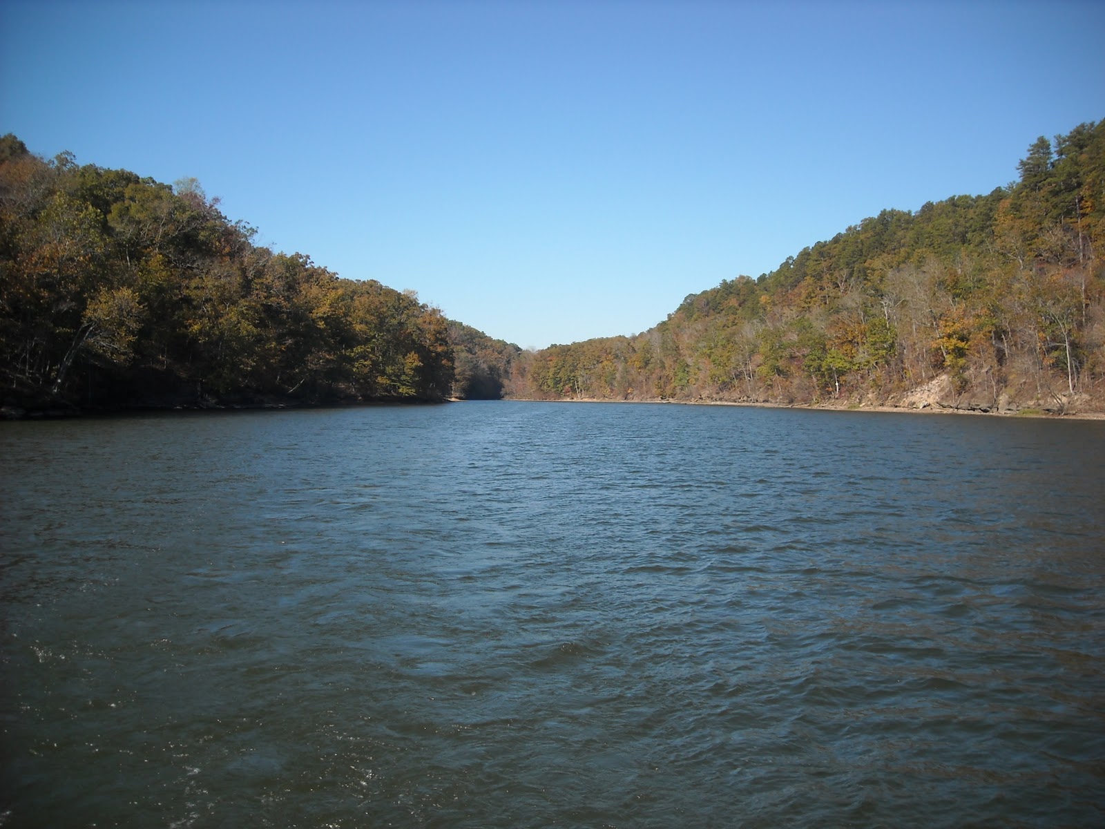Southern Belle: Fun on Pickwick Lake