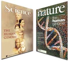 Human Genome Project Nature