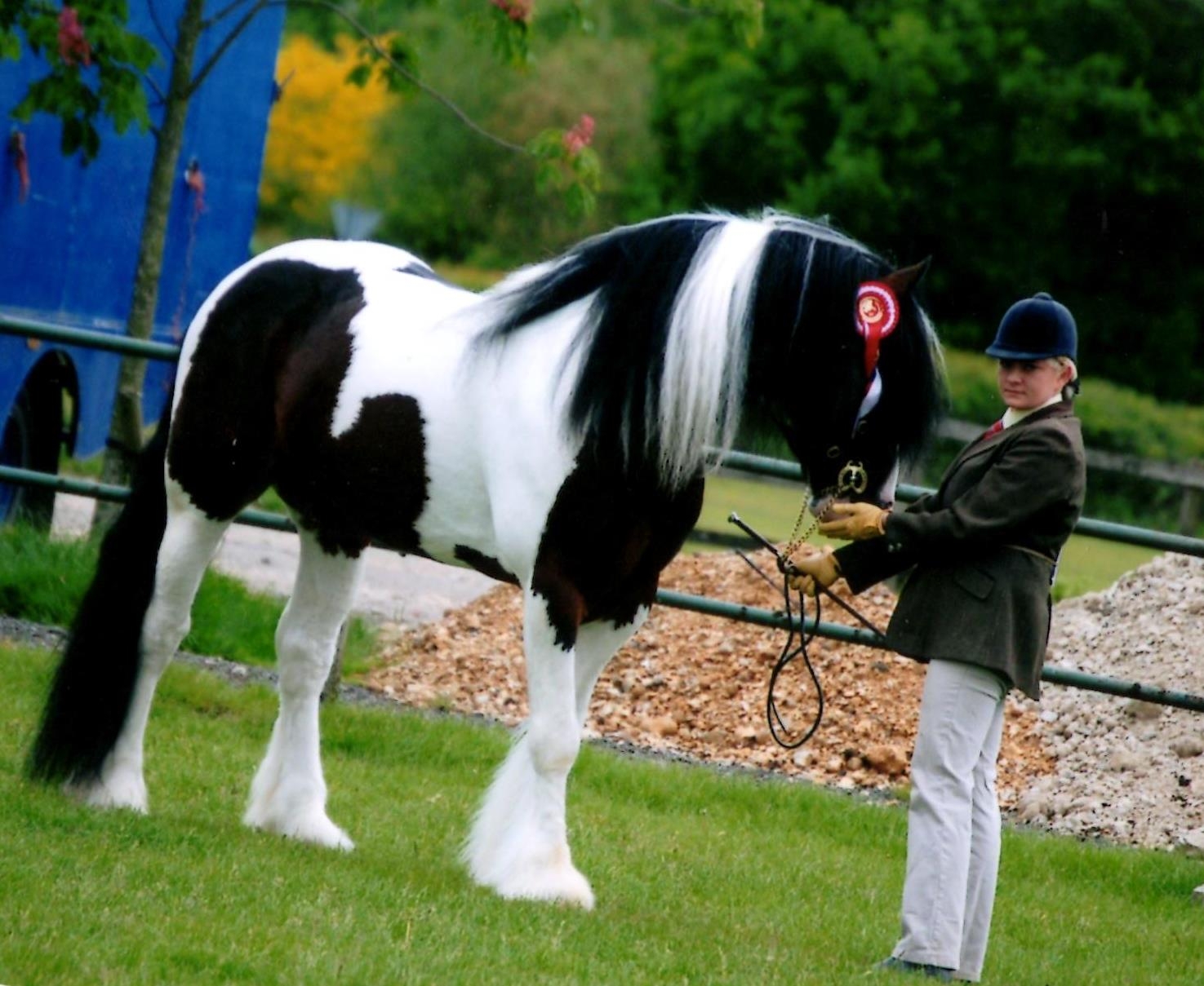 Sophie and Sam take the PSO October Class - Absorbine