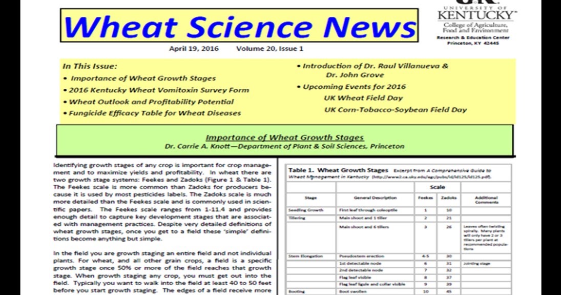 Grain Crops Update: Check out the latest "Wheat Science News"