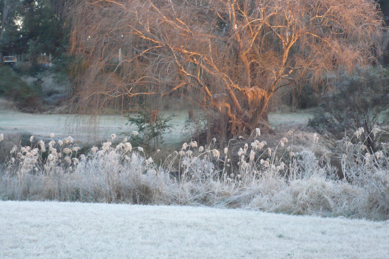 Stanthorpe Granite Belt: Stanthorpe Weather