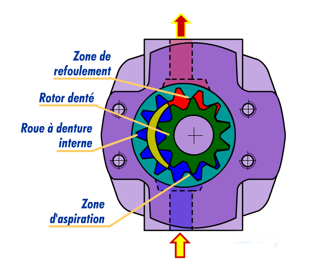 les pompes à engrenage denture interne. - تعلم ببساطة
