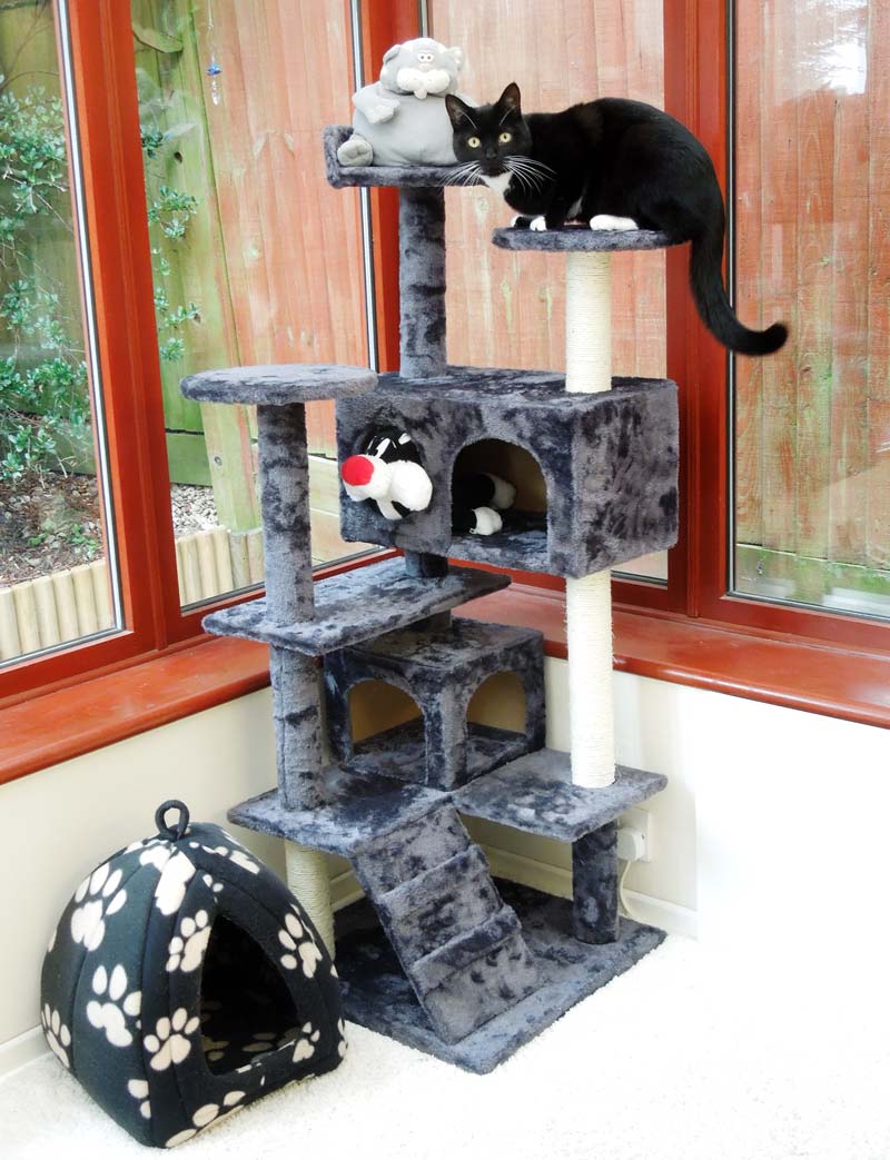 Inky Dinky Doodle: WOYWW #381: Birthday card from recycled cardboard