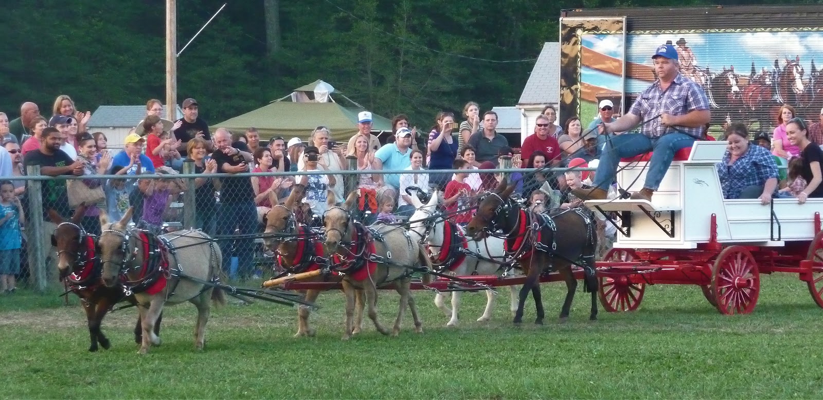 Wild Rose Farm: Equine Power!