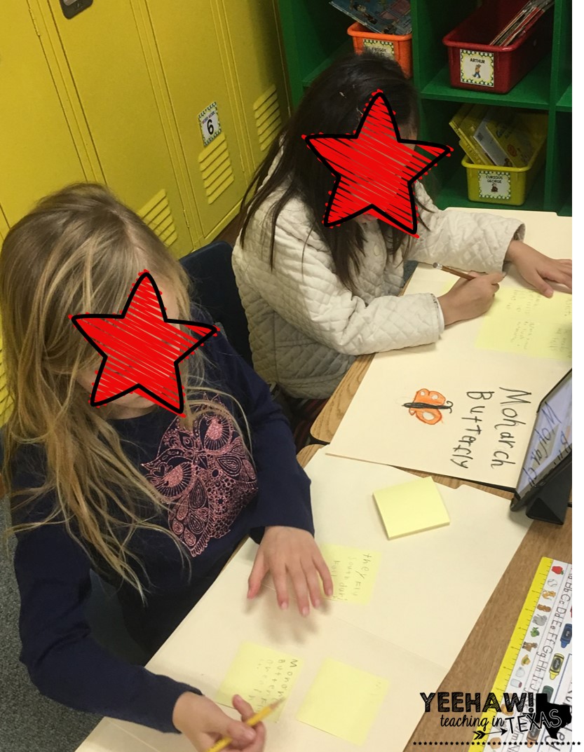 EASY Animal Research Project - Sarah Chesworth