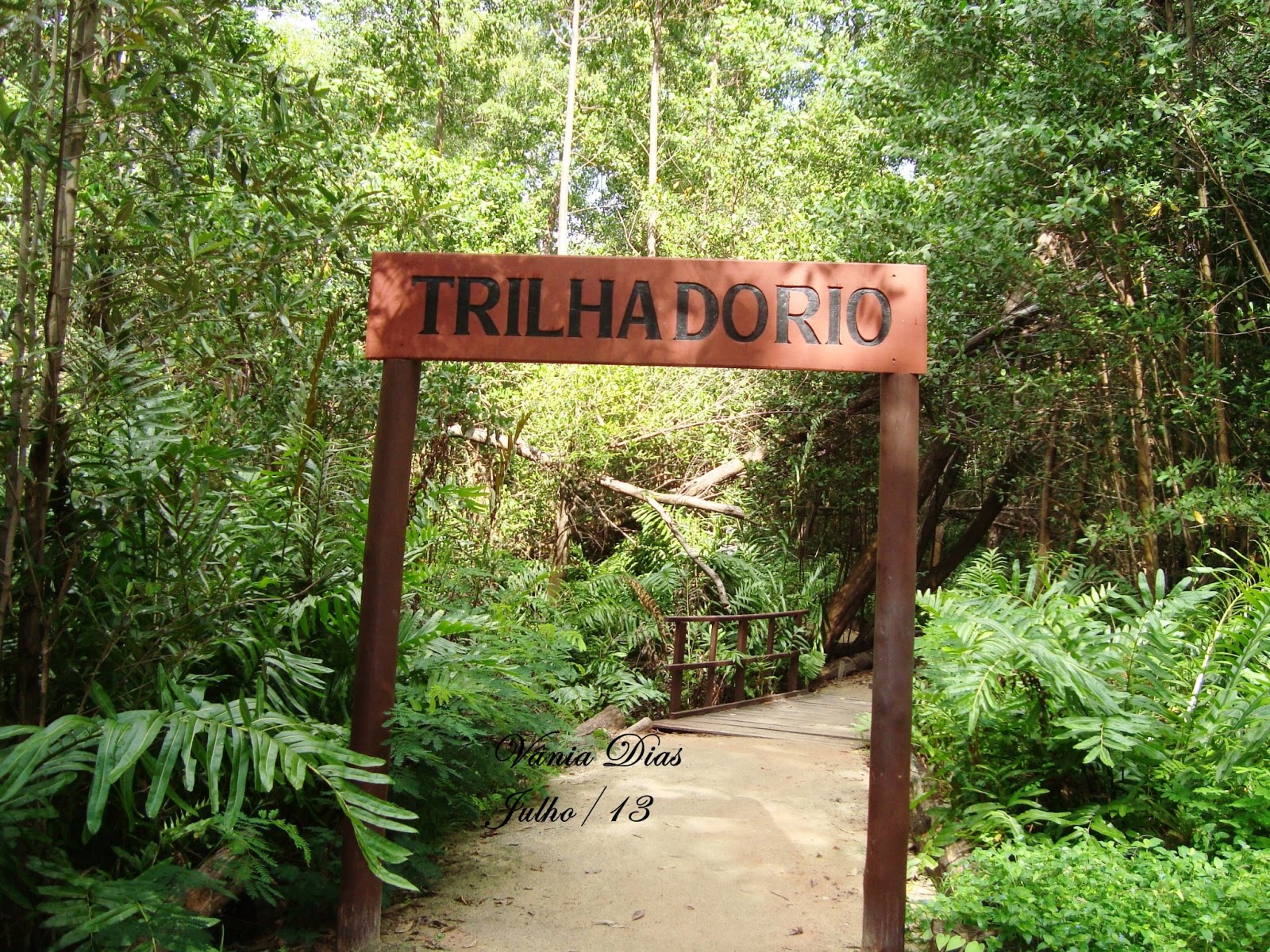 Conhecendo Fortaleza-Ce: Trilhas do Parque do Cocó-Fortaleza-Ce