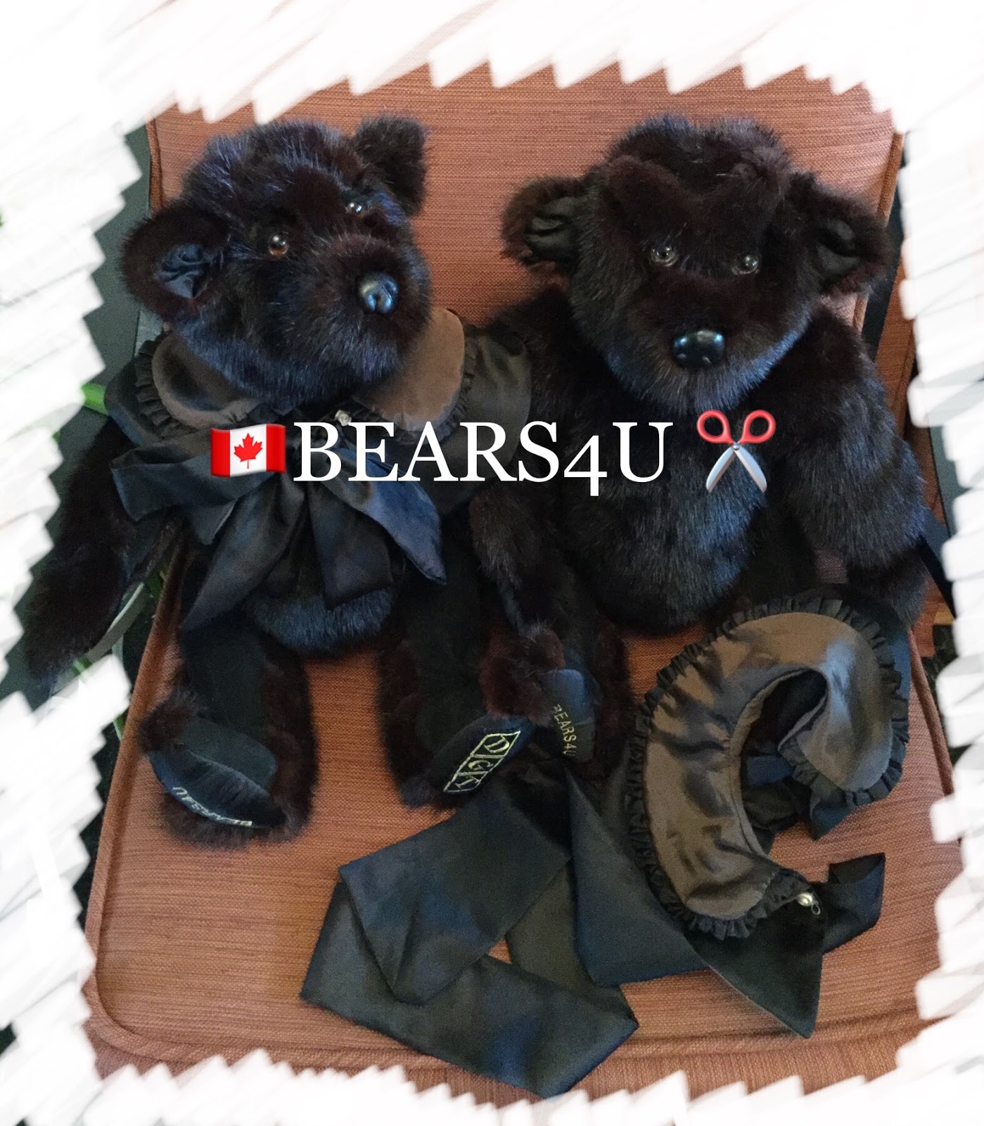 BEARS4U: A REAL Fur BEAR