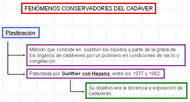 Momificación, saponificación, corificación, congelación ...