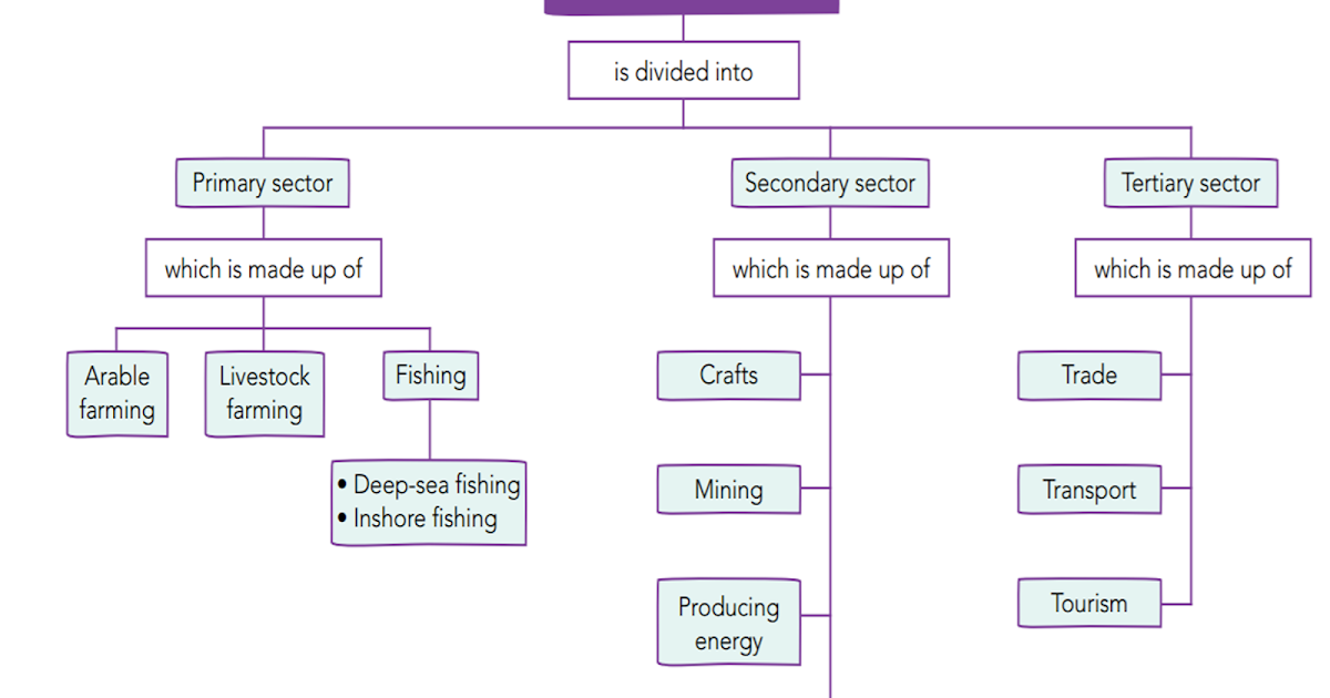 Mind Map Unit 7: Economic Sectors ~ 4th Grade