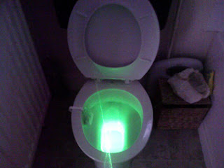 Radical Pissing: Radioactive toilet