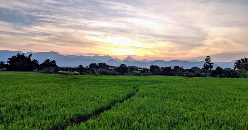 A Rustic Walk in India’s Deep South - Be On The Road | Live your Travel ...