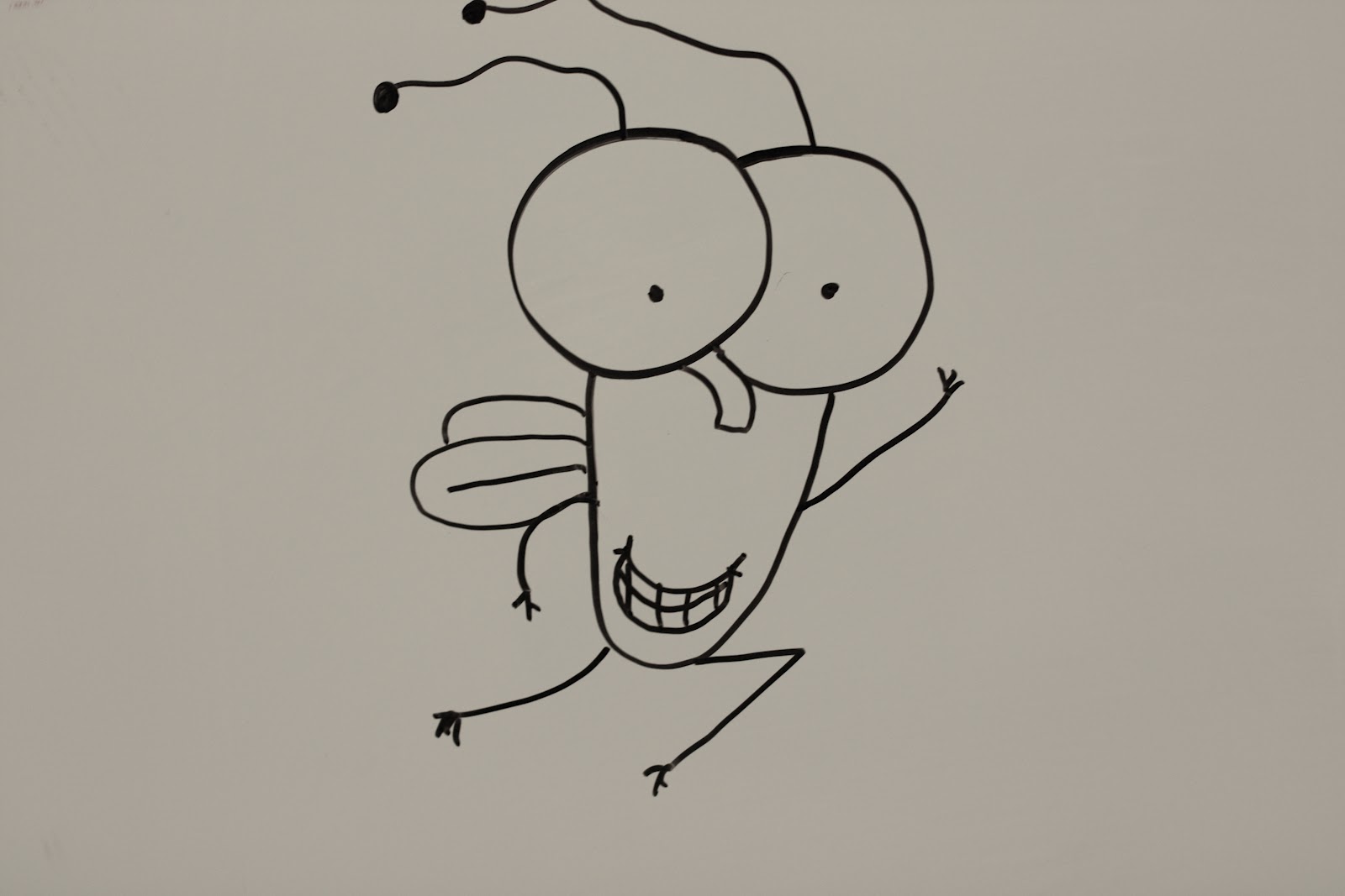 Fly Guy Math - Fairy Dust Teaching