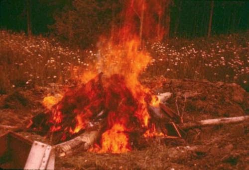APICULTURA EN MISIONES: Loque americana - Paenibacillus larvae (P ...