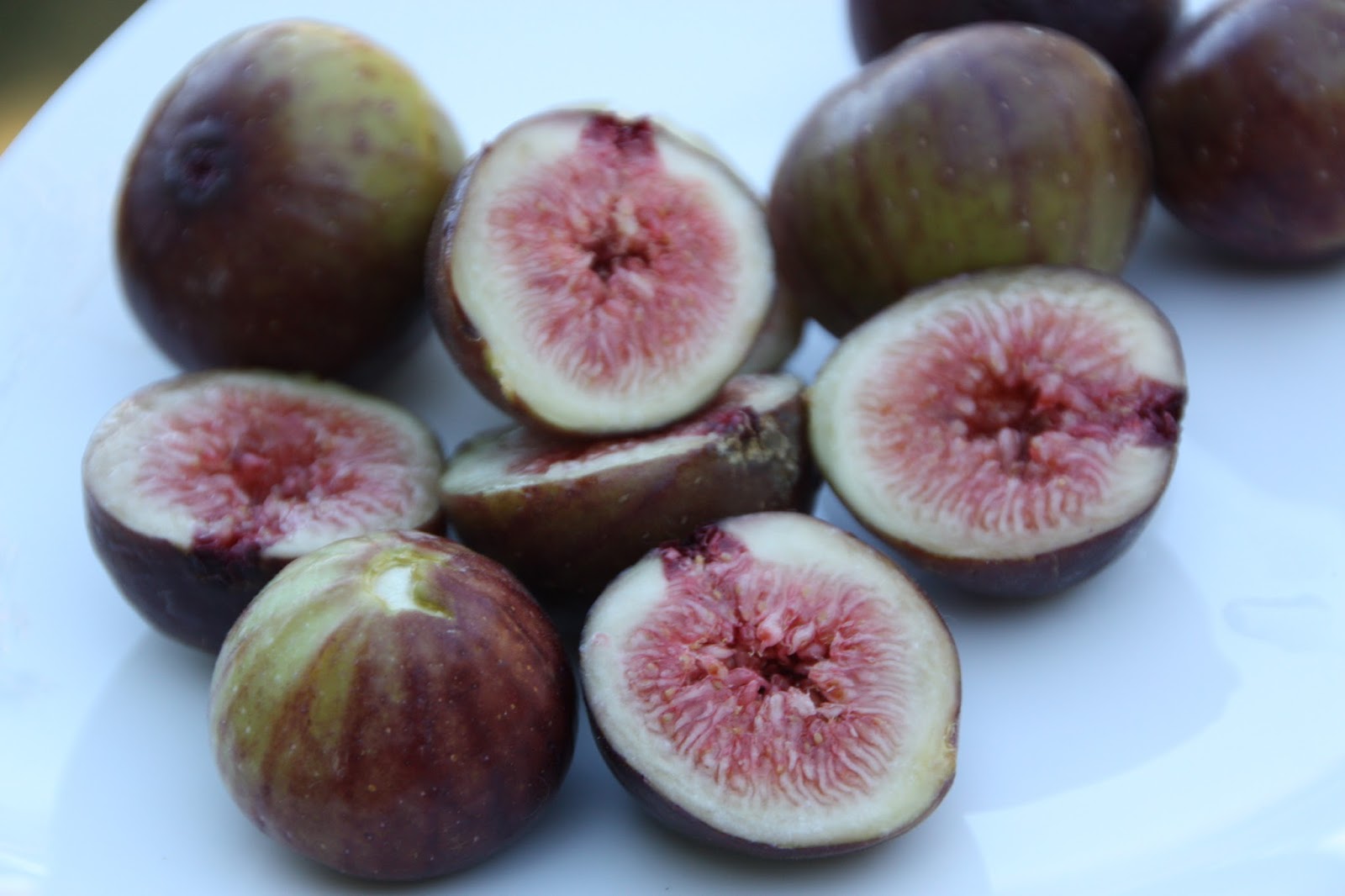 EVERYDAY SISTERS: Fig Banana Bread