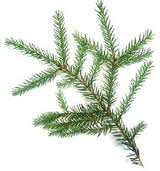 Viisnurga varjus: 6, osa