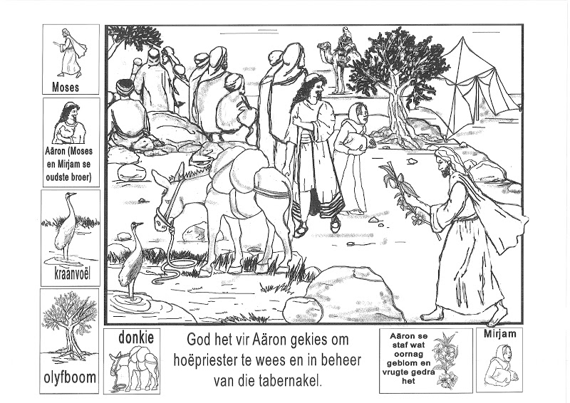 Bybel Inkleur Prente Vir Kinders Sketch Coloring Page