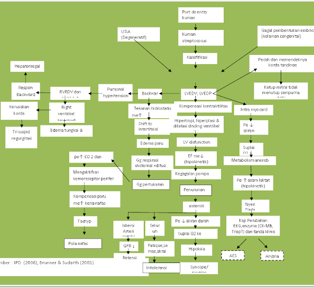 TENTANG JANTUNG: PATHOFLOW AORTA STENOSIS