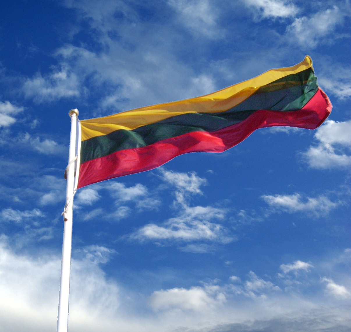 Mano Lietuva: Simbolika