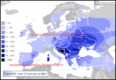 Eastern Black Sea DNA: Laz Y-DNA Haplogroups