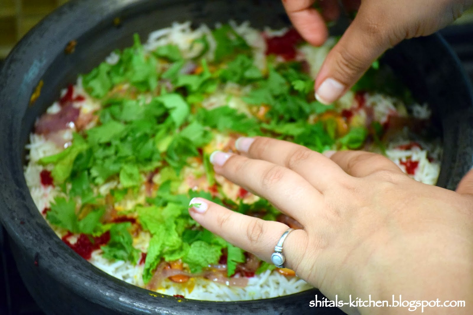 Shital's-Kitchen: Vegetable Dum Biryani