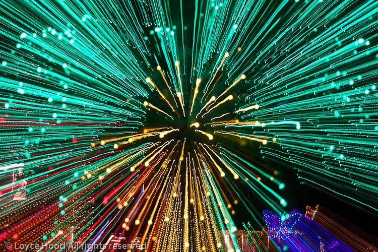 Photo of the Day: Zooming Around