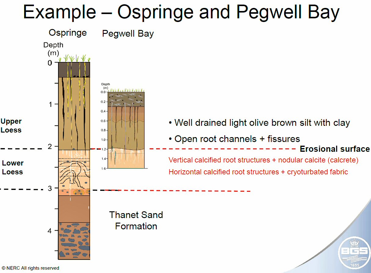 Loess Ground: Loess in Britain VIII The Ospringe Project