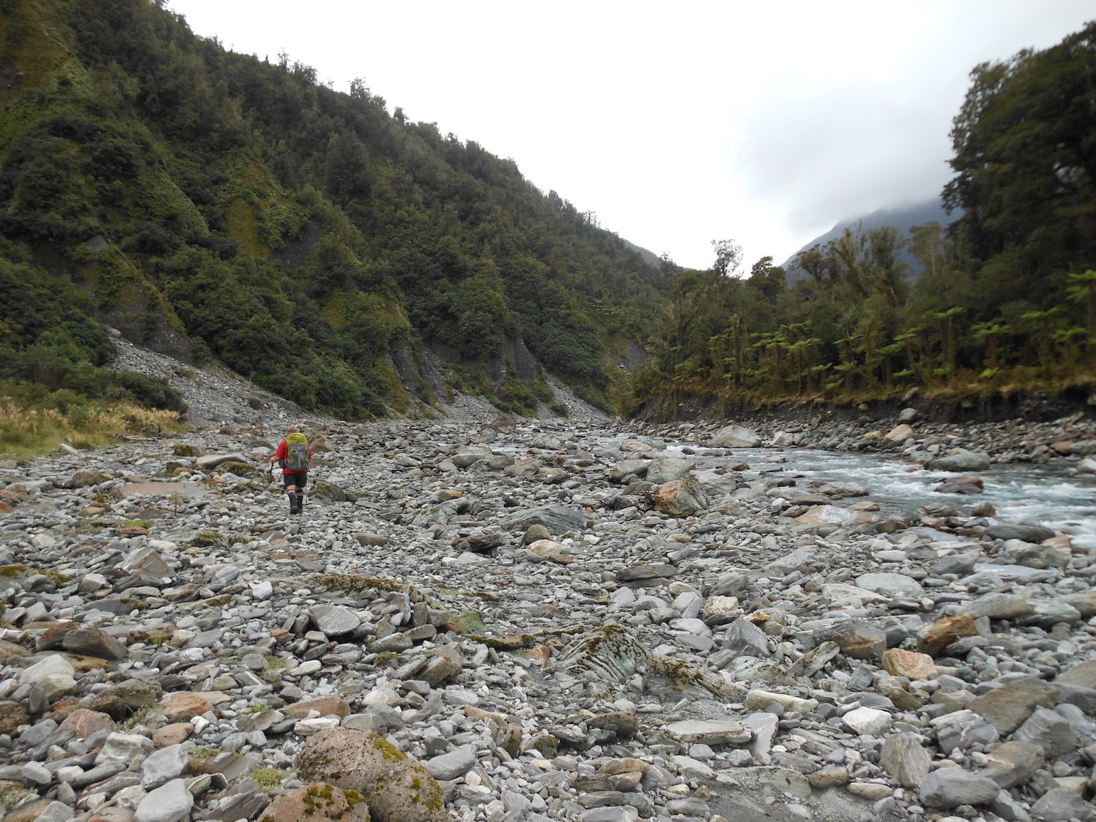 Tramping: Toaroha, Hokitika, Lower Whitcombe Track and Sir Robert Hut