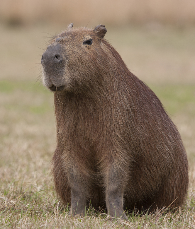 Complejo Camba Cua : Excursiones que te muestran la naturaleza de verdad...