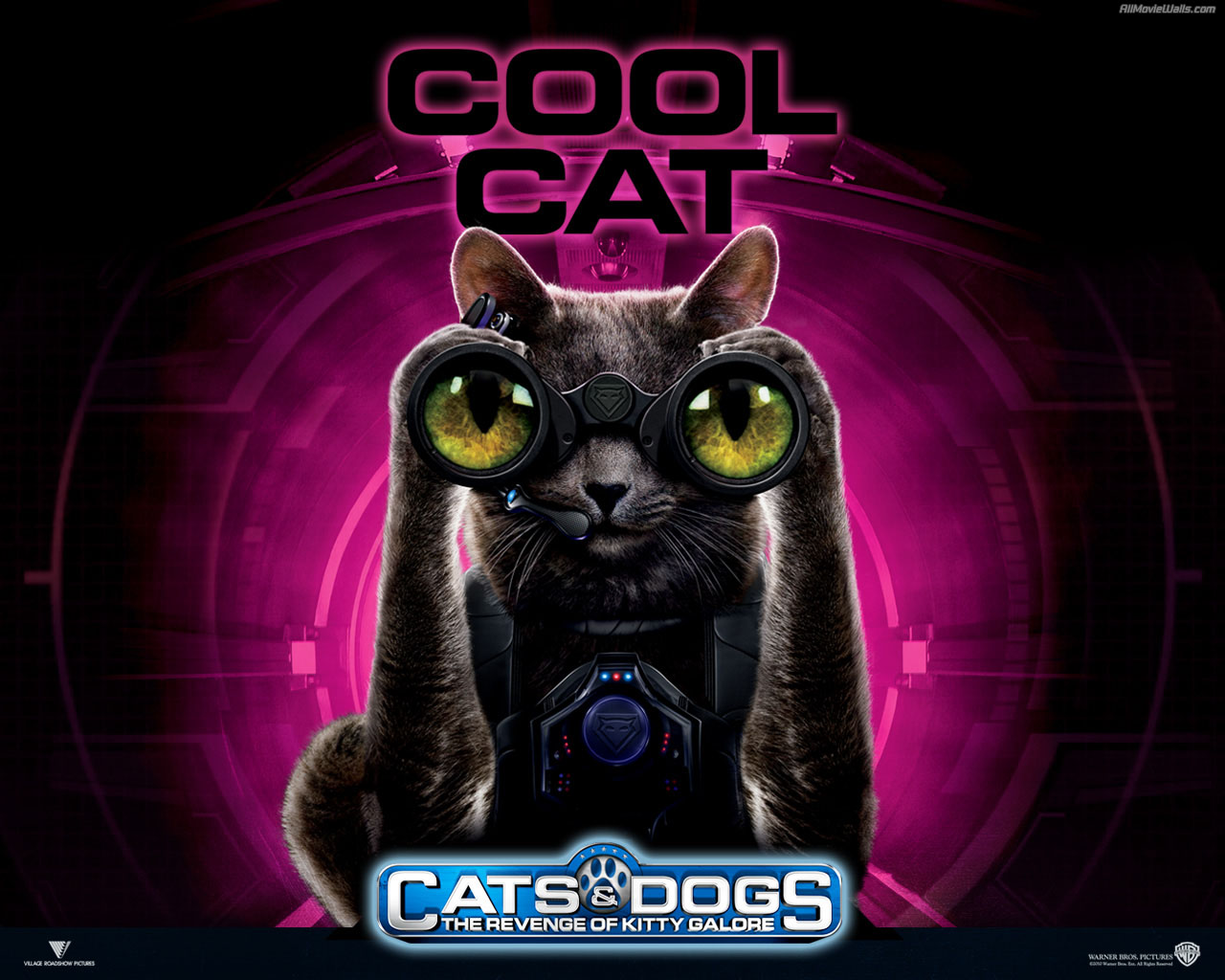 Koleksi Kartun Terbaik: Cats And Dogs - Cool Cat