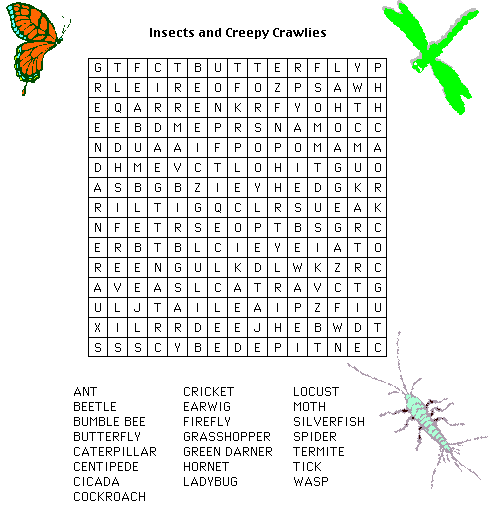 Bug Wordsearch