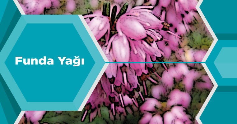 Bitki Yağı: Funda Yağı