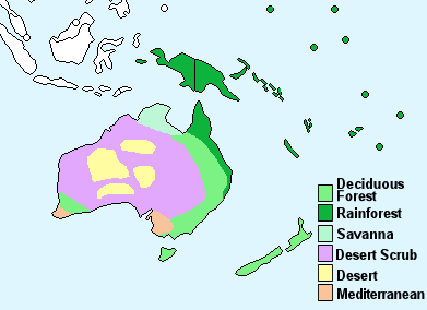 Tropical Rainforest of Australia: Tropical Rainforest of Australia