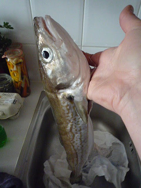 Bolli's Kitchen: Merlan au four - Wittling aus dem Ofen