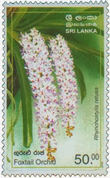 ගුරුළු රාජ - [Gurulu Raja] ඌව පළාත් පුෂ්පය