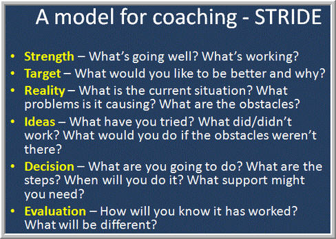 TraderFeed: Every Great Trader Is A Player-Coach