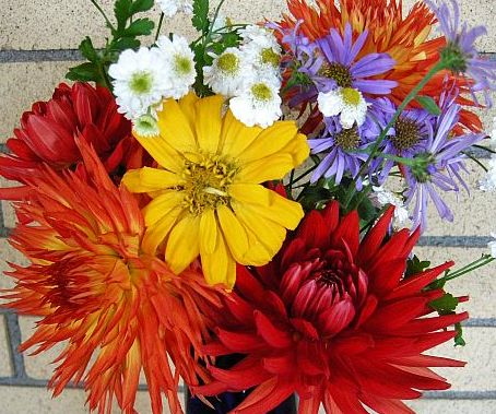 Allie's in Stitches: October Flowers