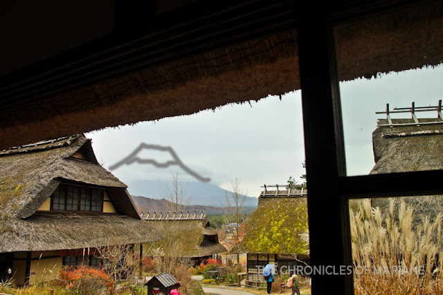 Fuji Five Lakes DIY Day Trip: Kawaguchiko and Saiko | The Chronicles of ...