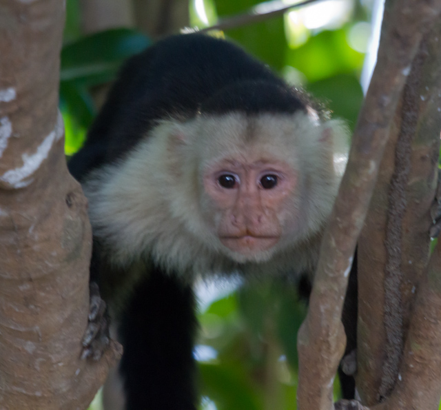 Costa Rica Day 18: Palo Verde | The Perfect Day Factory