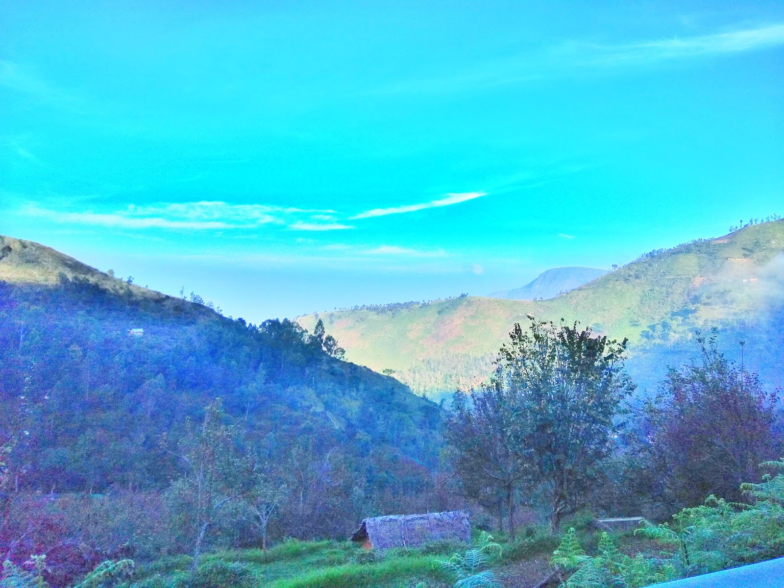 The EYE of Nature: HILL VIEW