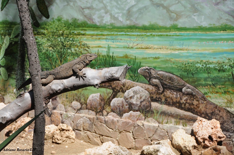 Ningún lugar está lejos... en RD: Esas apariencias...