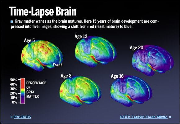 mysmartbaby: Optimizing Early Brain and Motor Development Through Movement